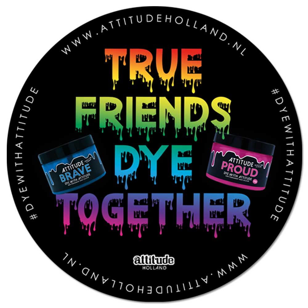 Attitude Hair Dye Attitude Hair Dye - Dye With Attitude Sticker Set